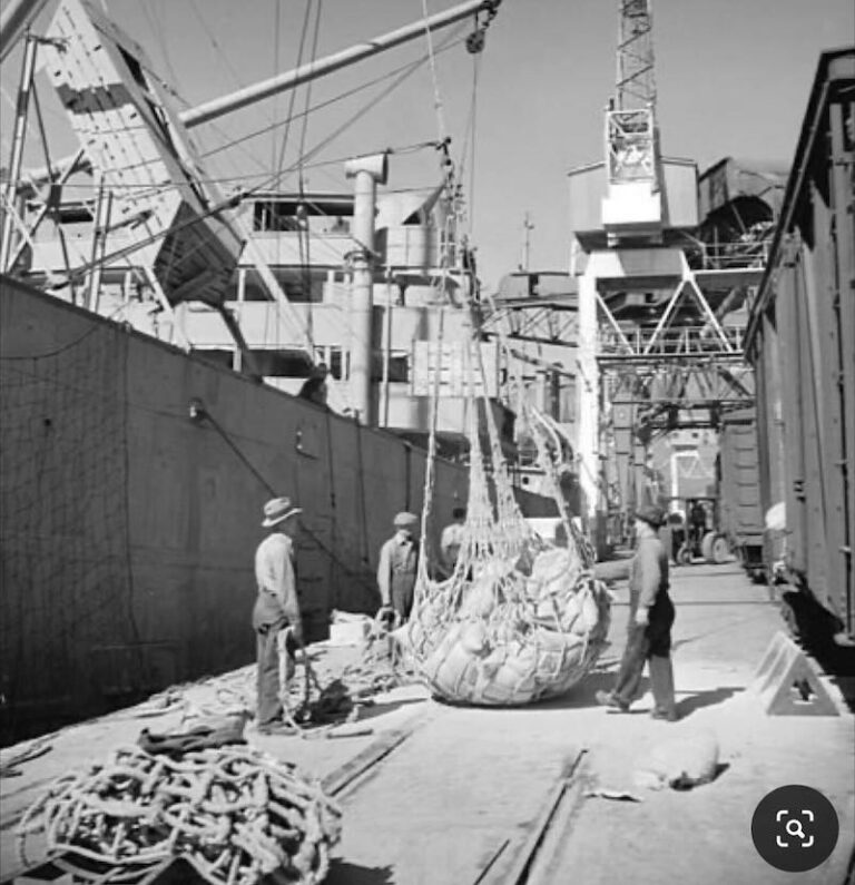 THE INTERNATIONAL LONGSHOREMEN’S ASSOCIATION HAS BEEN MOVING THE WORLD ...